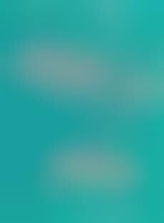 Pest Control Trash Cans : Trash Can Fly Catcher