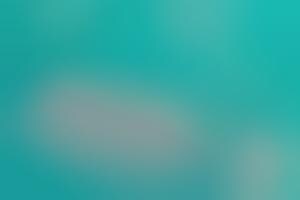 Pest Control Trash Cans : Trash Can Fly Catcher