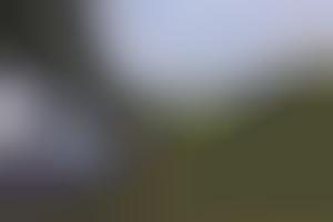 Compact Condo Trailers : Safari Condo