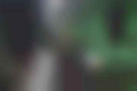 Vibrant Village Photography : herman damar