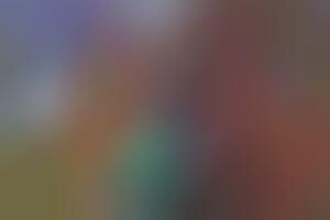 Beach City Bombshell Lookbooks : Bebe Spring 2014