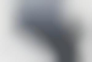 Pistol Grip Phone Cases : Gun Grip Case