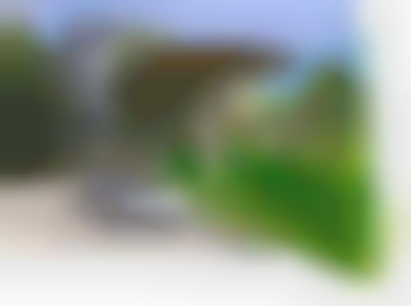 33 Innovative Canopy Designs