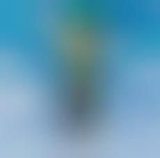 Cartoon Hybrid Pop Icons : Cartoon Pop Icons