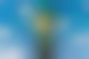 Cartoon Hybrid Pop Icons : Cartoon Pop Icons