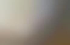 Interdependent Art Installations : Nao Tamura