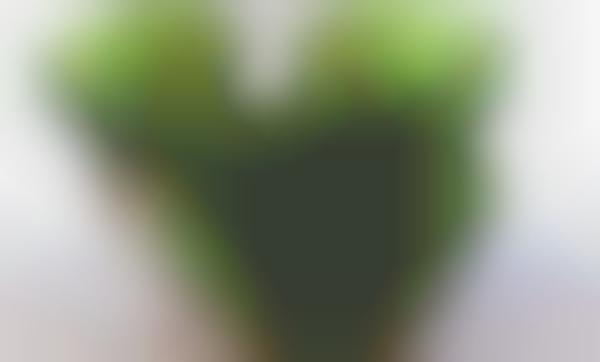 22 Edible Food Containers