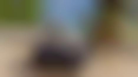 Turtle-Inspired Boomboxes : BIG Turtle Shell