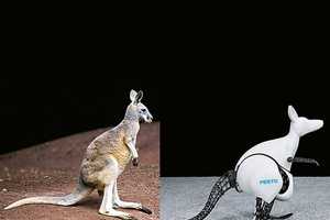Bionic Kangaroos : Bionic Kangaroo