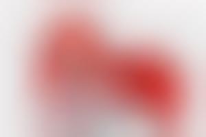 Armored Disney Characters : Warrior Princess