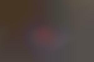 Cookie Nachos : Oreo Snack