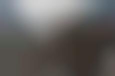 Sloping-Roofed Libraries : Library and Community Center