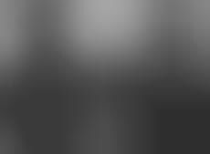 Asianic Protest Editorials : Shut Down by Tom Potisit