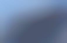 Mirrored Farm Buildings : Invisible Barn