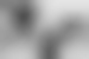 Nature-Bound Nomadic Photography : nomadic portrait photo series