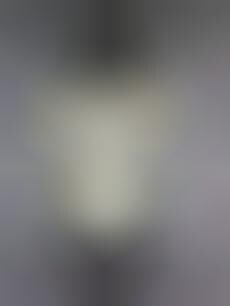 Male Body Casting: Pecs & Posteriors for Posterity