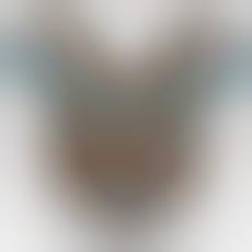 Blinged Cartoon Gadgetry- The Swarovski iRiver Mickey Mouse Mplayer: