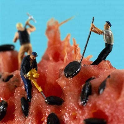 Edible Miniature Worlds: Tiny Food Landscapes