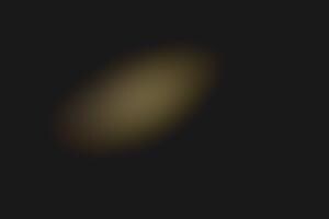 Enlightened Fish: Dried Cod Lamps as Art