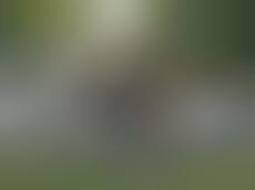 Vortex Art Homes: The Inversion House