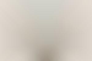 Java Perk Loyalty Cards : loyalty program