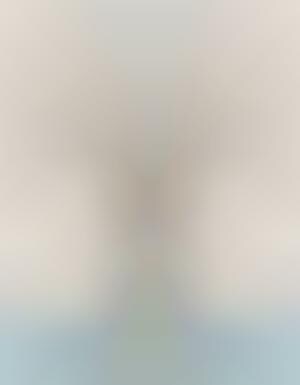 Java Perk Loyalty Cards : loyalty program