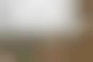 Compact Crafty Workspaces : artist studio design