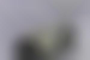 Retractable Snail-Like Scooters : XQ Scooter