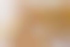 Edible Take-Out Boxes : edible container