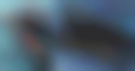 Celestial Chocolates : L'eclat