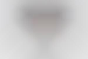 Origami-Inspired Barbecues : folding grill