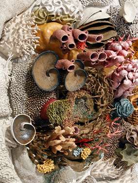 Ceramic Coral Reefs : Courtney Mattison