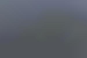 Posture-Adjusting Bikes : flexi-bike