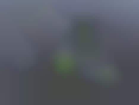 Posture-Adjusting Bikes : flexi-bike