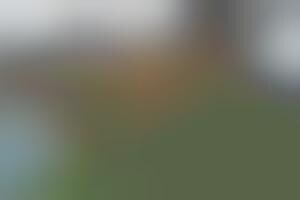 Open-Faced Architecture : Domenack Architects