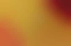 Cycloptic Mutant Bread : Scott Summers