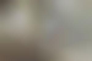 Modular Pop-Up Cabins : Cabin Drop XL