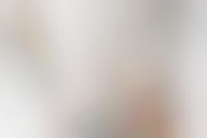 Multimedia Office Supplies : Brockhaus Pen2