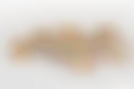 Earthy Product Packaging : all-natural branding identity