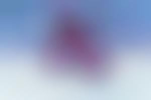 Mini Car Photography : mini car photography