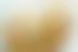 Fried Confectionary Soaps : sugar donuts