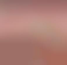 Collaborative Art Albums : artist Mark Ryden