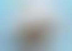 Buildable Space Rovers : mars rover