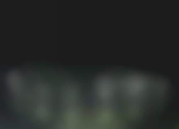 100 Gifts for Fantasy Fans