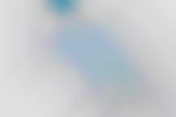 Whale Tail Vodka Branding : Syrena