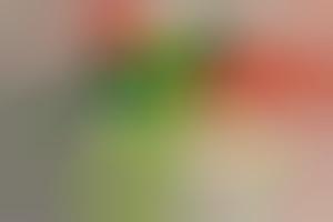 Shrimp Shell Bioplastics : biodegradable plastic