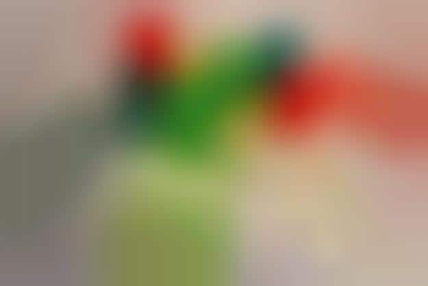 25 Biodegradable Packaging Designs