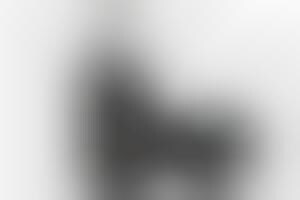 Ingenious Bike Locks : Stemlock