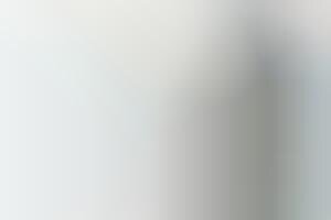 High Heel-Like Towers : NBBJ Rainier Square building