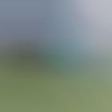 Predatory Pup Jackets : Shark Fin Life Jacket